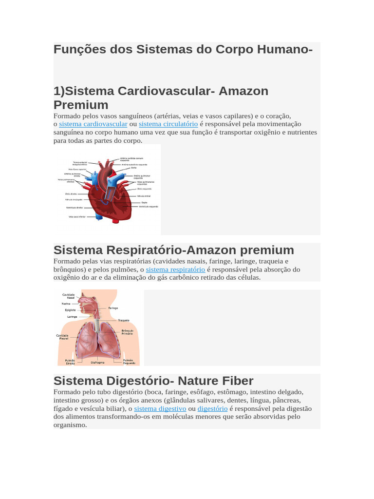 Funções Dos Sistemas Do Corpo Humano | PDF | Corpo humano | Sistema ...