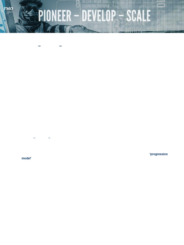 FMO Strategy 2030: Pioneer, Develop, Scale | PDF | Sustainability ...
