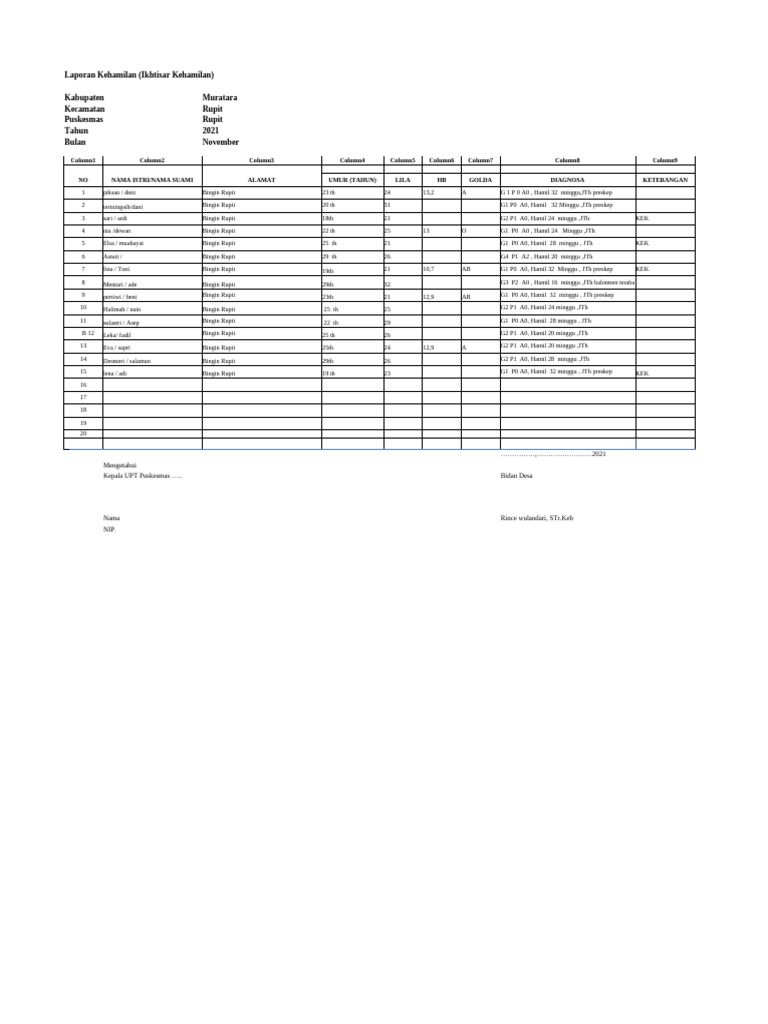 Form Laporan KIA November | PDF