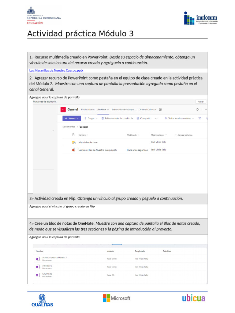 Plantilla Actividad Practica Modulo 3 | PDF