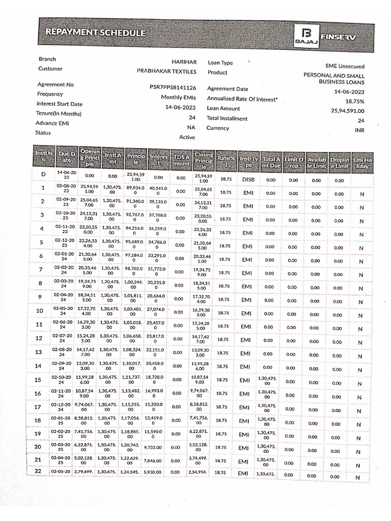 Repayment Schedule | PDF