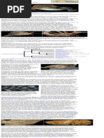 Land Snail Identification Guide | PDF | Molluscs