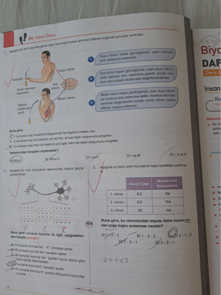 Daf | PDF
