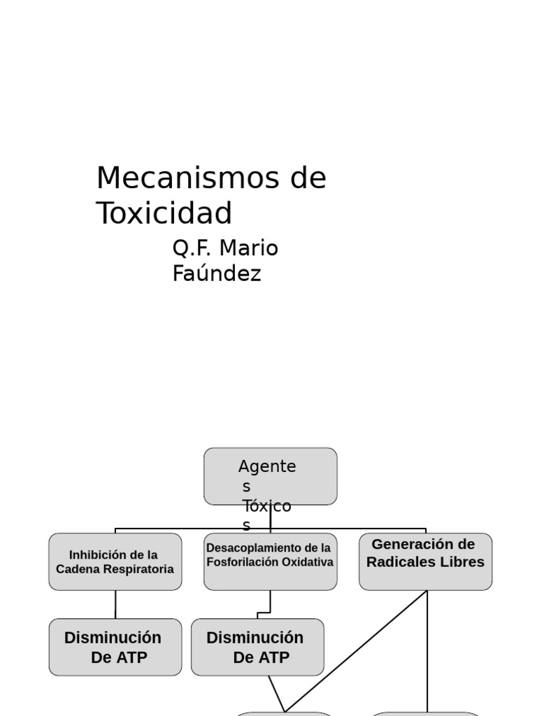 Mecanismos de Toxicidad 1 | PDF | Trifosfato de adenosina | Respiración celular