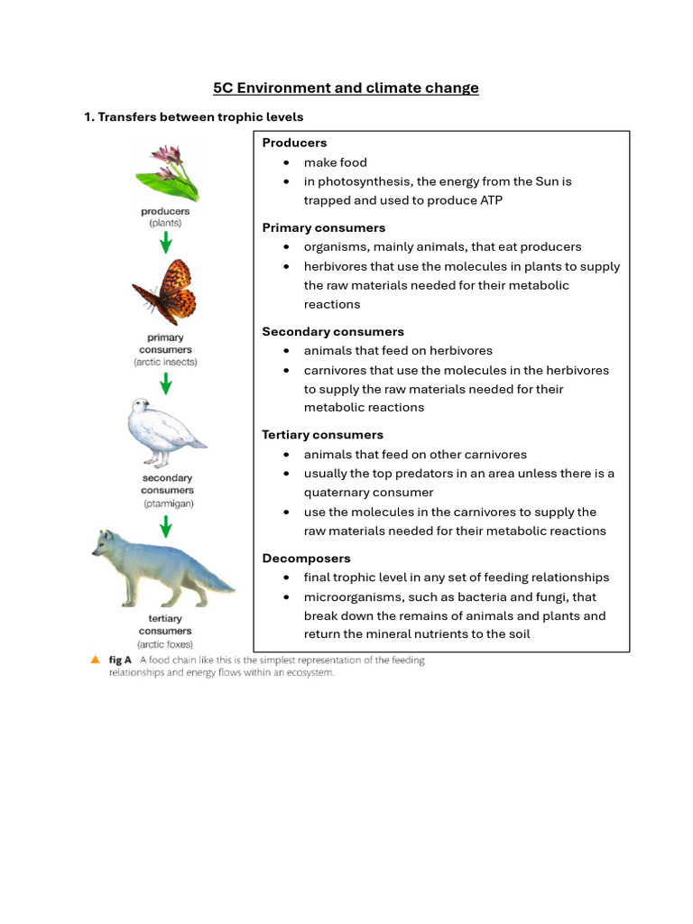 5C Environment and Climate Change | PDF | Food Web | Climate Change