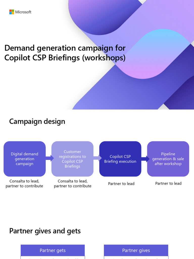 Copilot CSP Briefing Consalta Campaign Overview | PDF | Business Economics | Economies