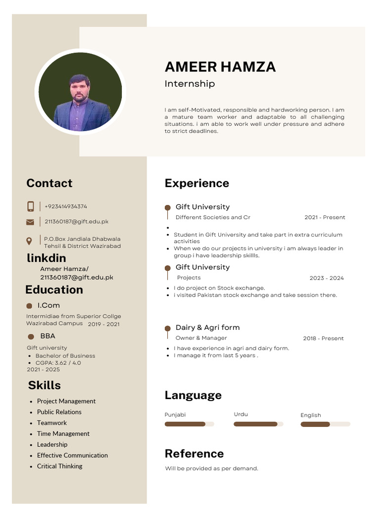 Ameer Hamza Professional CV Resume | PDF