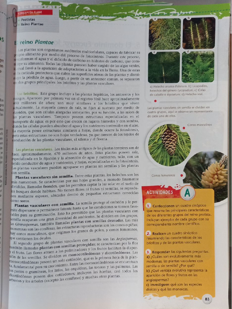 22_10 continuidad pedagógica 2do | PDF