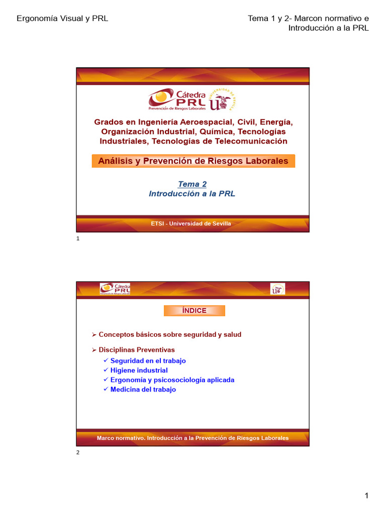 Tema 2 - Introducción A La PRL | PDF | Seguridad y salud ocupacional | Factores humanos y ergonomía