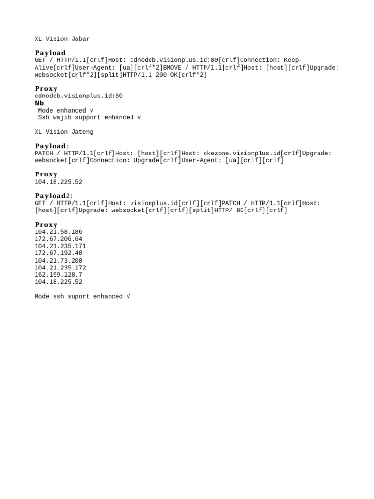 10.bug XL Vision (Simfile - Co) | PDF | Business | Technology & Engineering