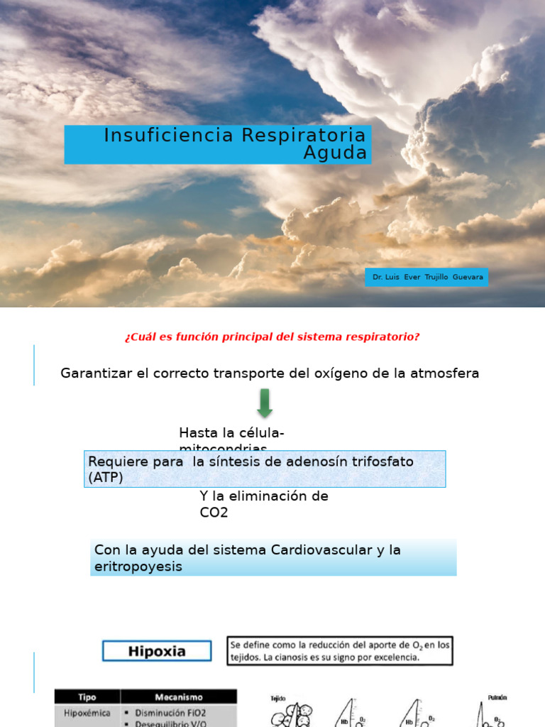 Insuficiencia Respiratoria Aguda - 2 | PDF | Respiración | Fisiología