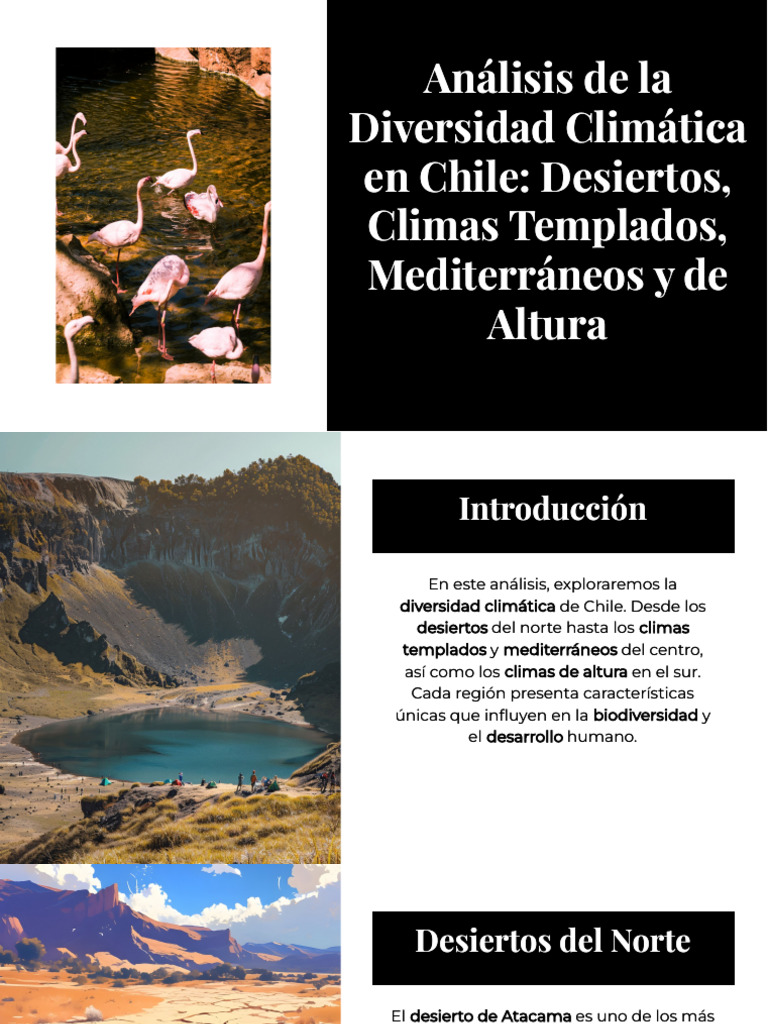 Wepik Analisis de La Diversidad Climatica en Chile Desiertos Climas Templados Mediterraneos y de ...