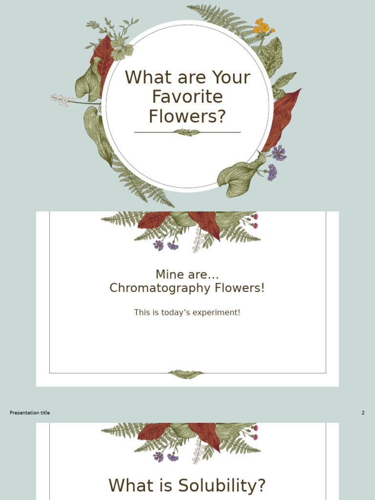 Chromatography Flowers | PDF | Solubility | Scientific Phenomena