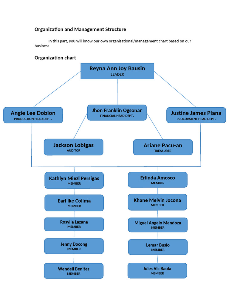 Organization and Management Structure | PDF | Accounting | Business