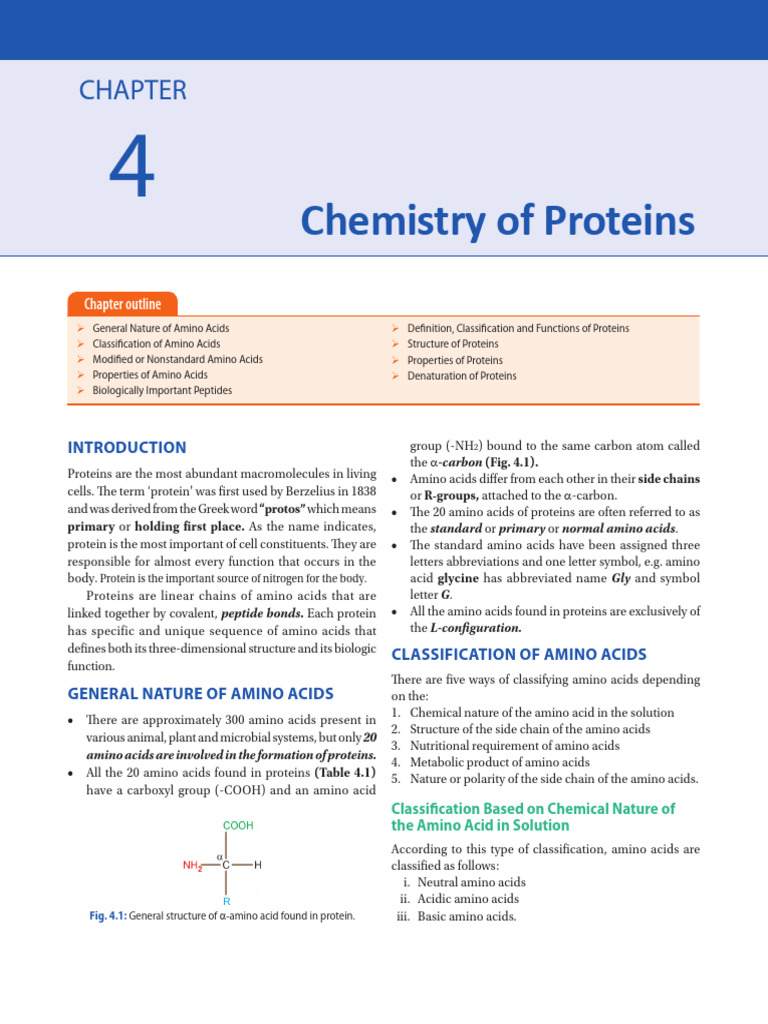 Chemistry of Proteins | PDF | Amino Acid | Proteins