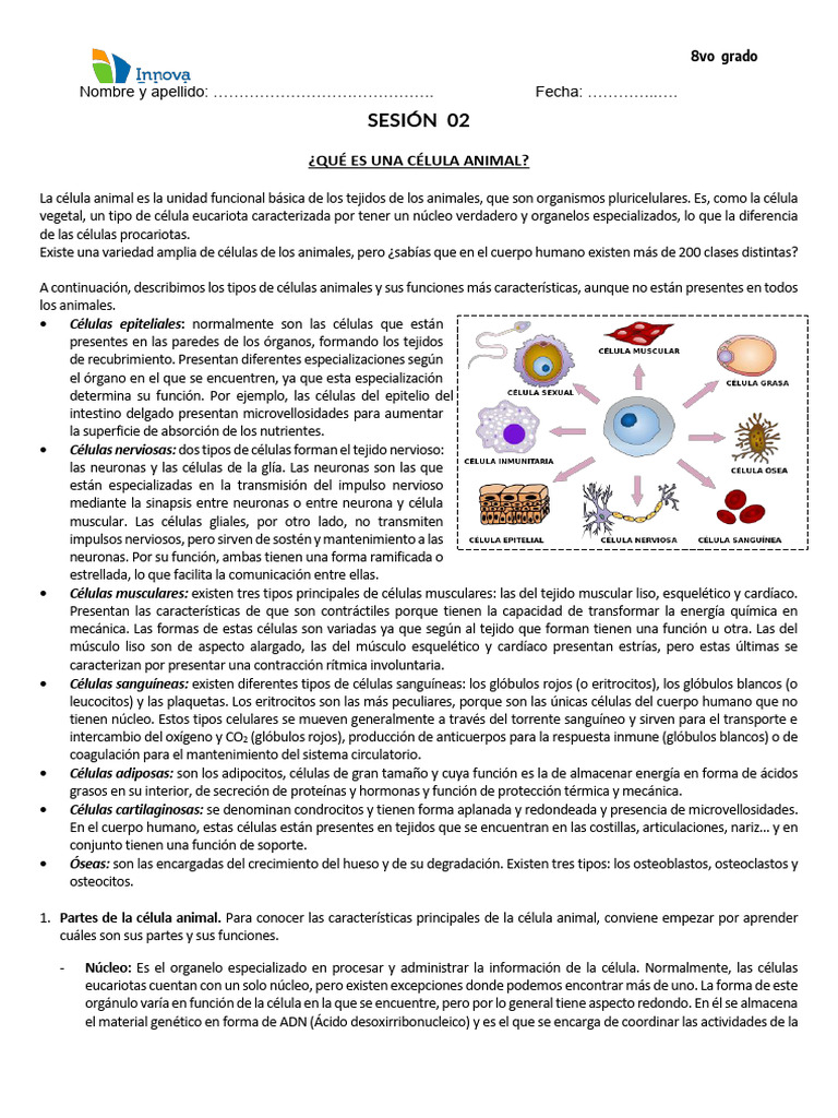 Anexo 3 La - Celula - Animal | PDF | Citoplasma | Biología Celular)