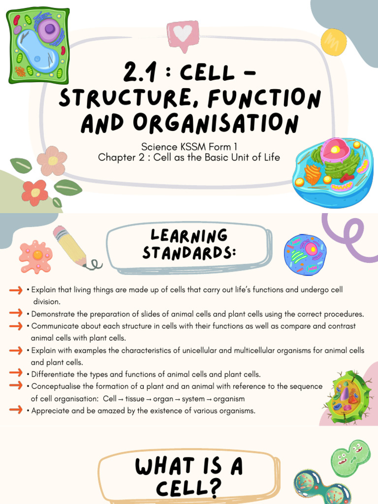 2.1 - Cell - Structure, Function and Organisation | PDF