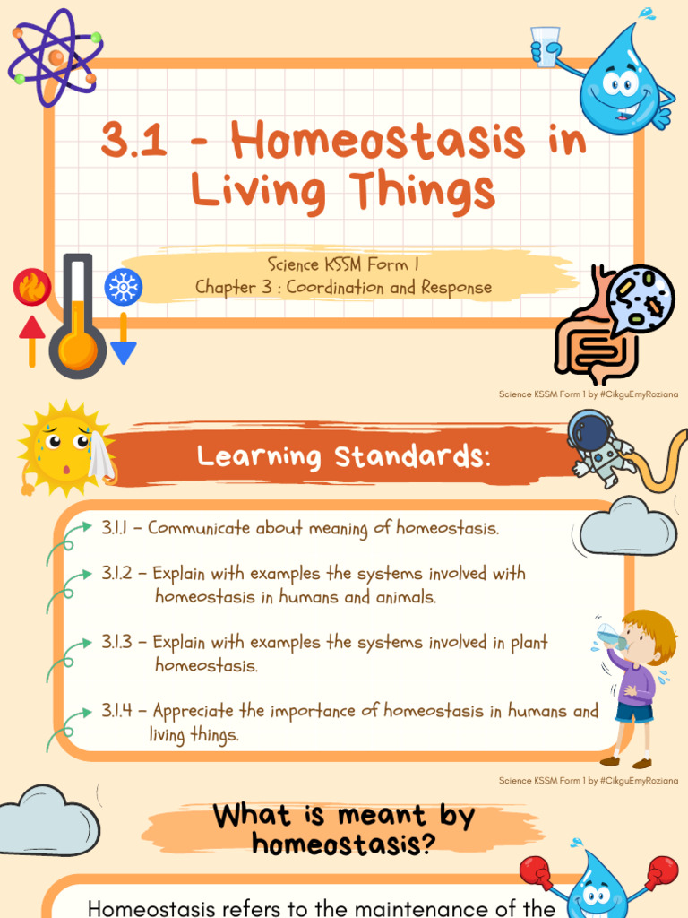 3.1 - Homeostasis in Living Things | PDF | Homeostasis | Thermoregulation