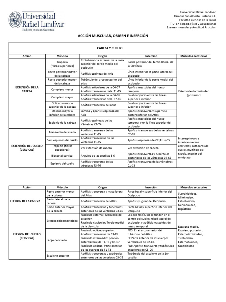 Anatomía de Músculos Cervicales | PDF | Tejido suave | Sistema ...