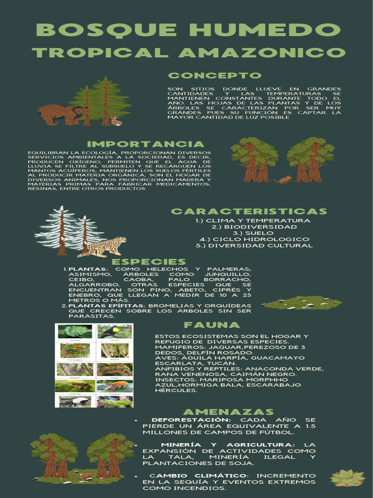 Dark Green Brown Illustrative Geography Biomes Infographic | PDF ...