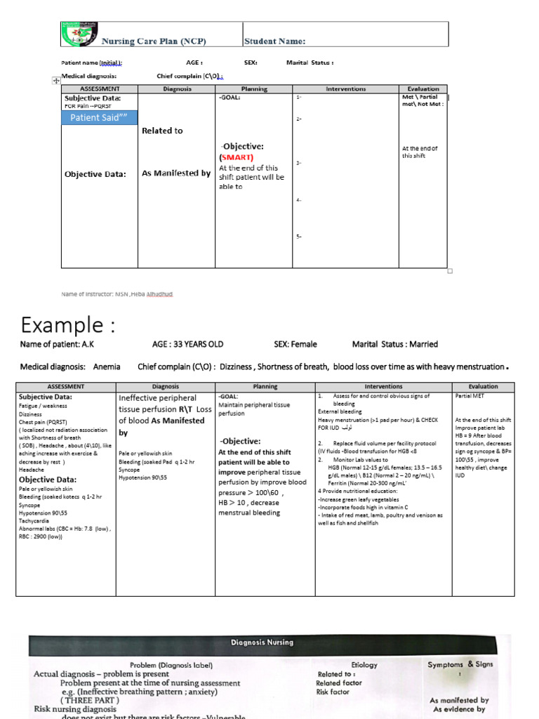 1- care plan | PDF | Stroke | Bleeding