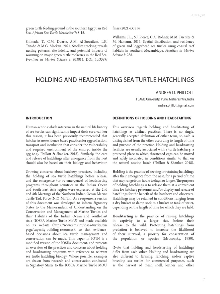 38 03 Holding and Headstarting Sea Turtle Hatchlings | PDF | Sea Turtle | Turtle