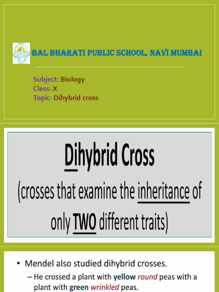 Dihybrid Cross | PDF | Dominance (Genetics) | Reproduction