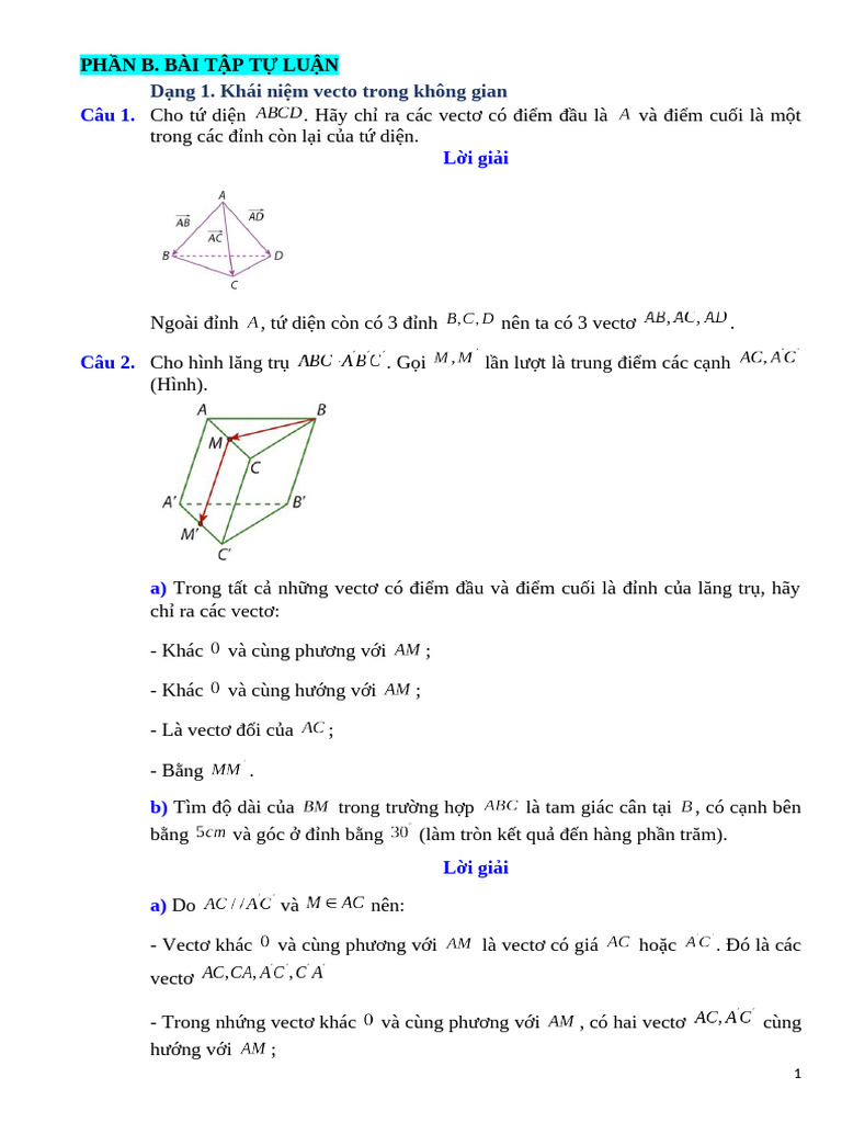 Phan B. Bai Tap Tu Luan Dapan | PDF