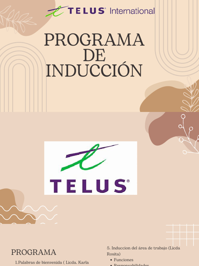 PROGRAMA DE INDUCCIÓN | PDF