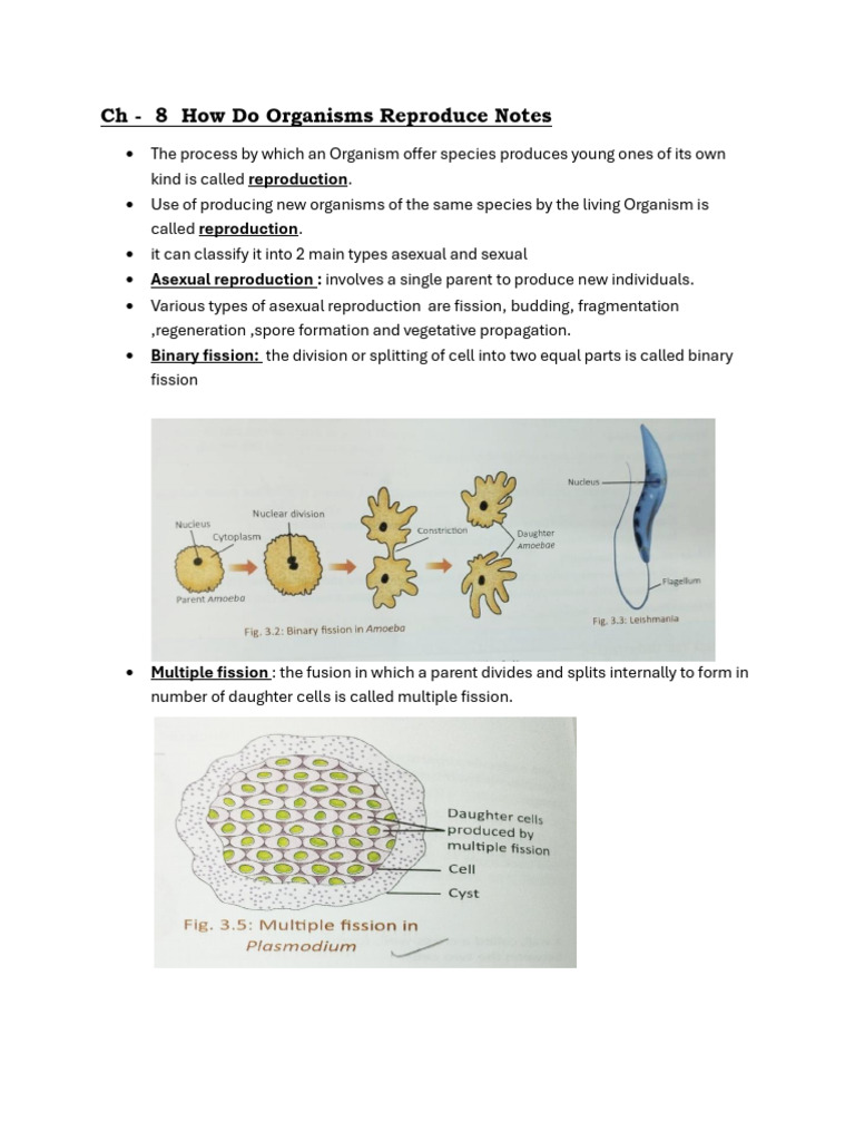 X How Do Organism Reproduce Notes | PDF | Menstrual Cycle | Seed