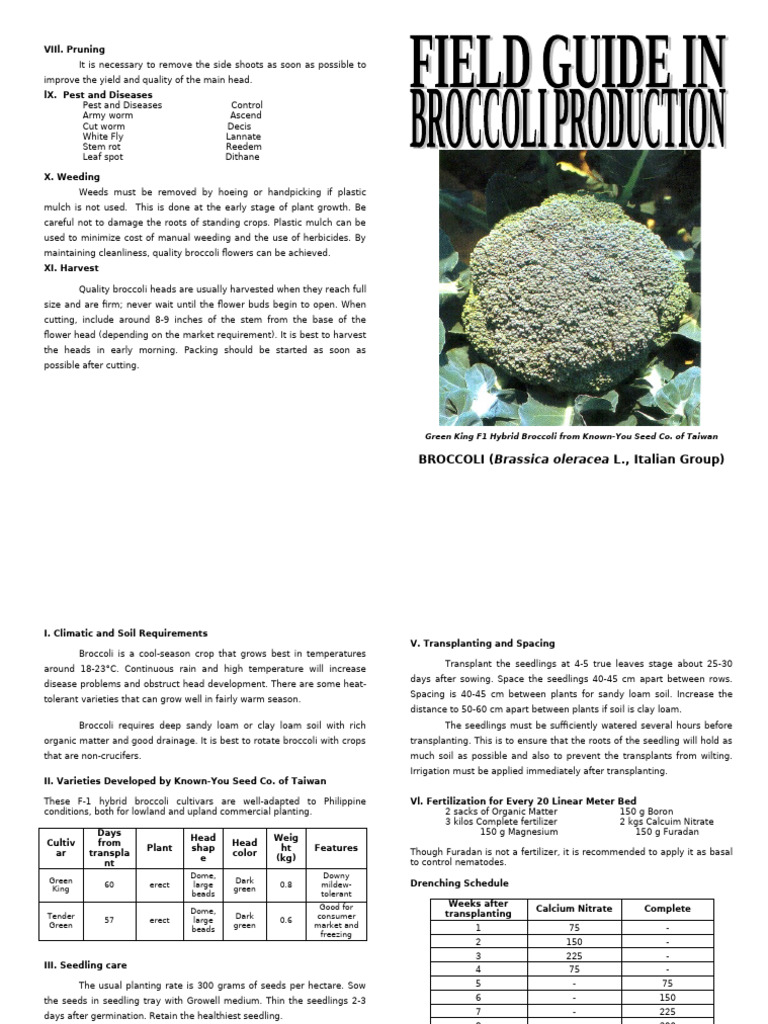 FIELD GUIDE IN BROCCOLI PRODUCTION Revised Nov | PDF | Broccoli | Mulch