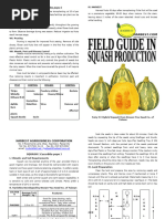 Pechay Growth and Production Guide | PDF | Sowing | Seedling