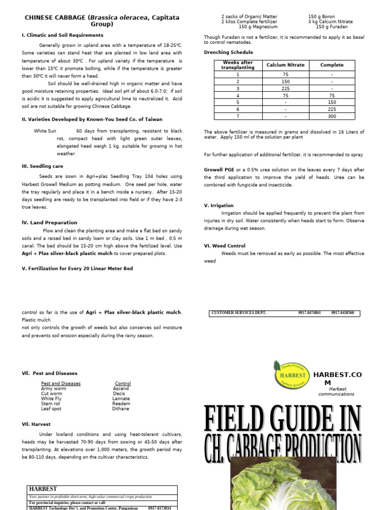 FIELD GUIDE IN CH. CABBAGE PRODUCTION Revised Nov | PDF | Mulch | Soil