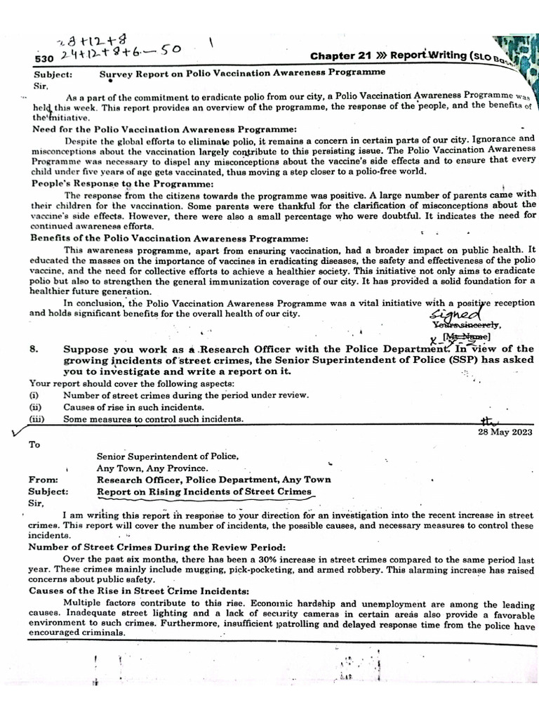  English Report on Street Crimes PDF