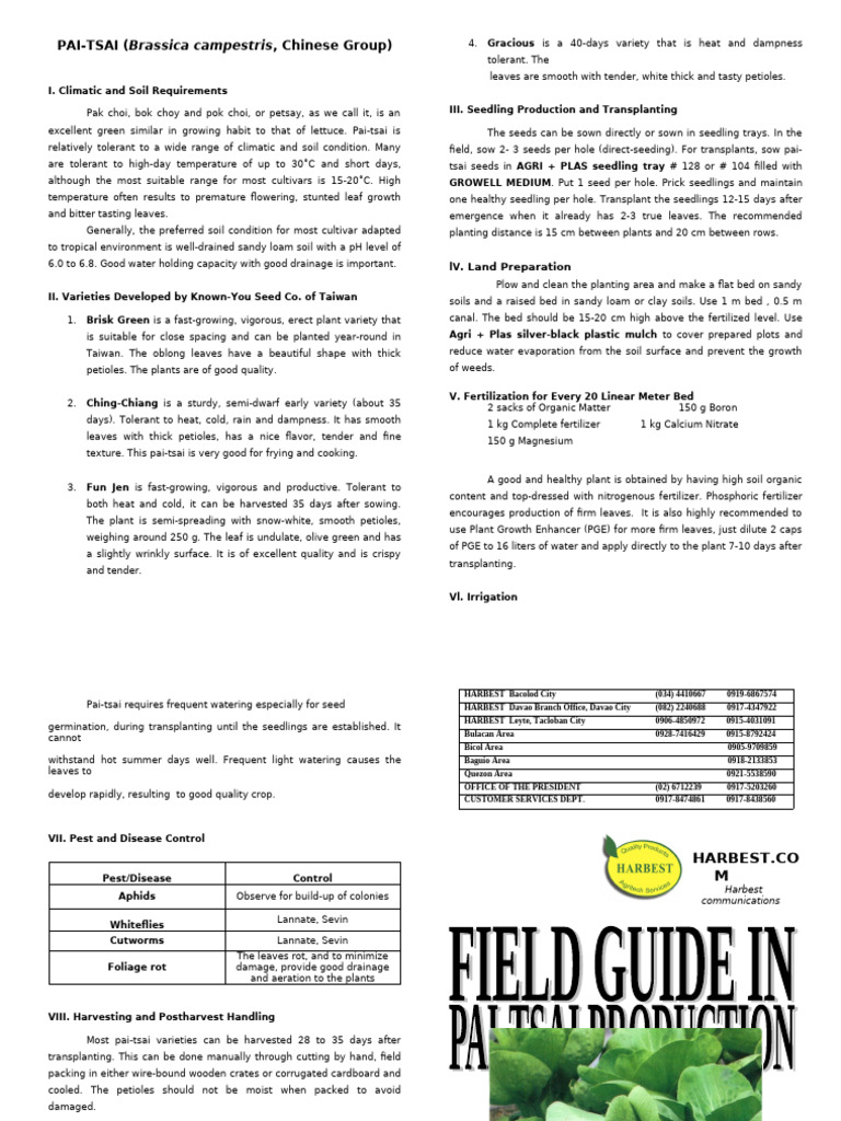 Pai-Tsai Cultivation Guide and Varieties | PDF | Fertilizer | Seedling
