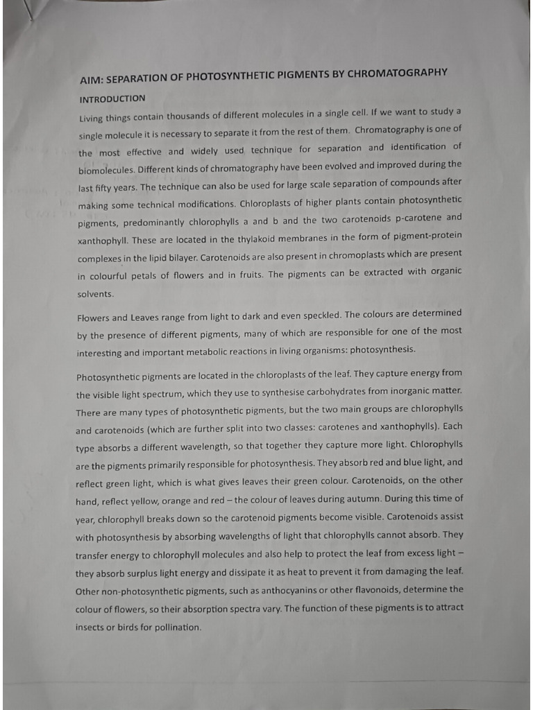 Separation of Photosynthetic Pigments by Chromatography | PDF