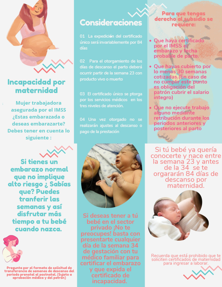 EA7 - Manual de Maternidad | PDF | El embarazo