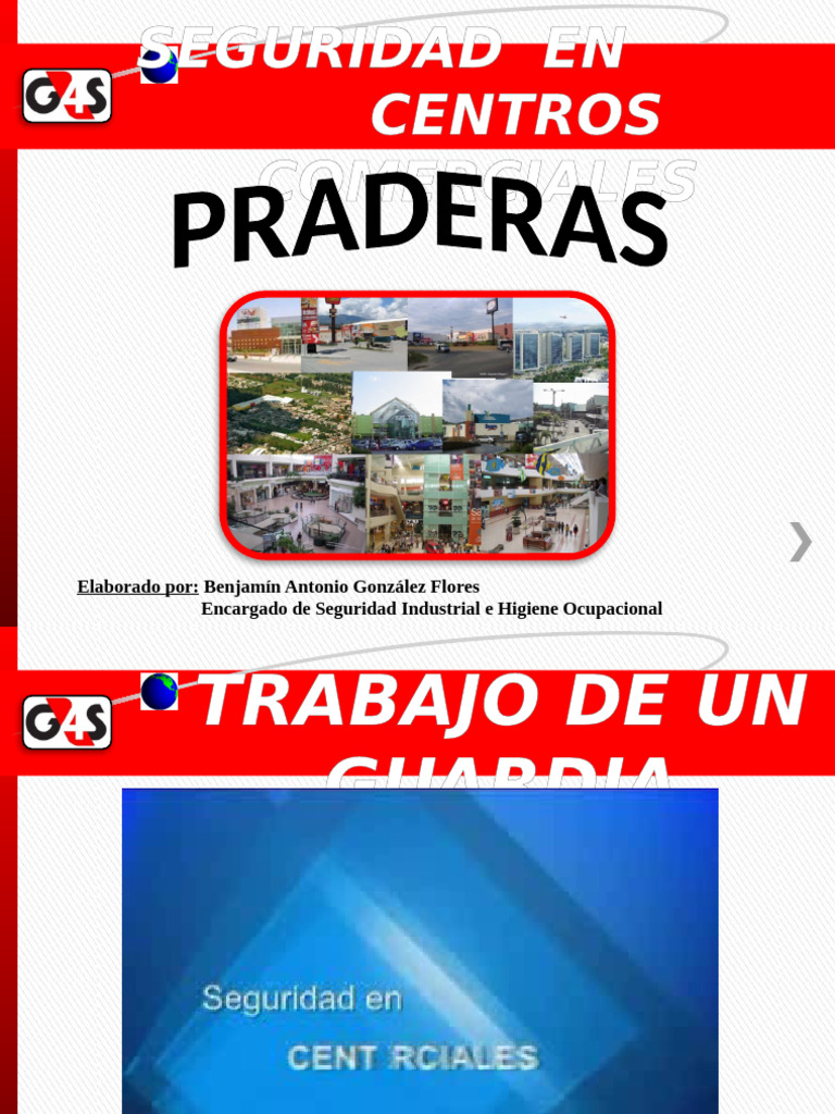 Para Reportes | PDF