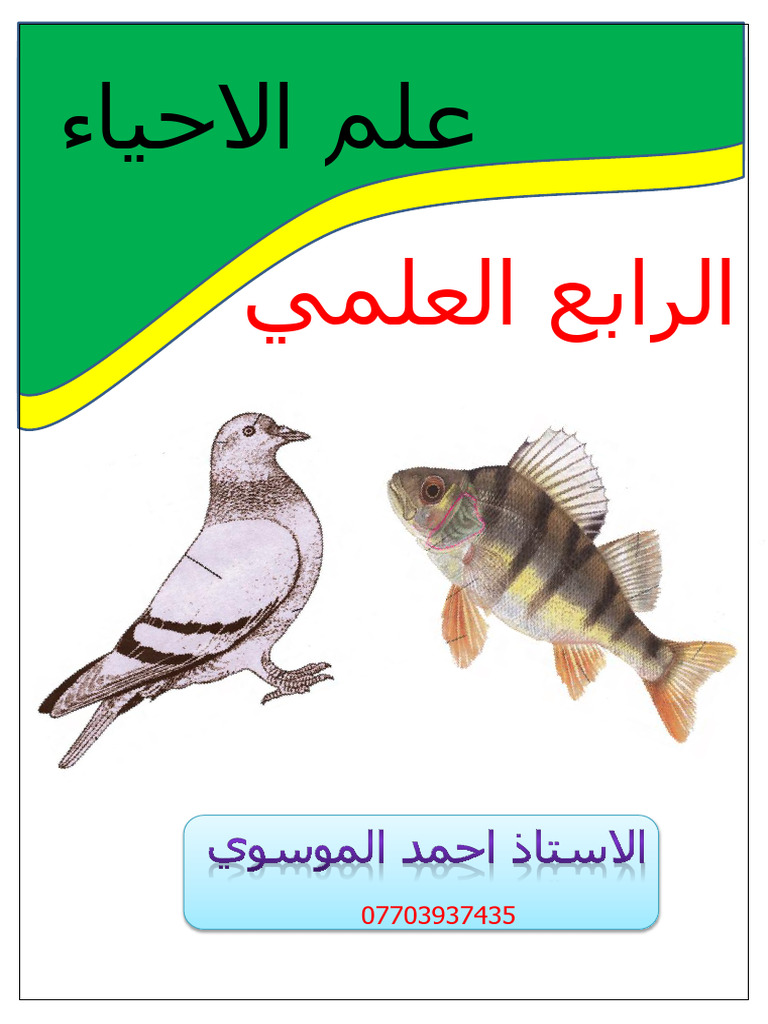 Ilovepdf Merged | PDF