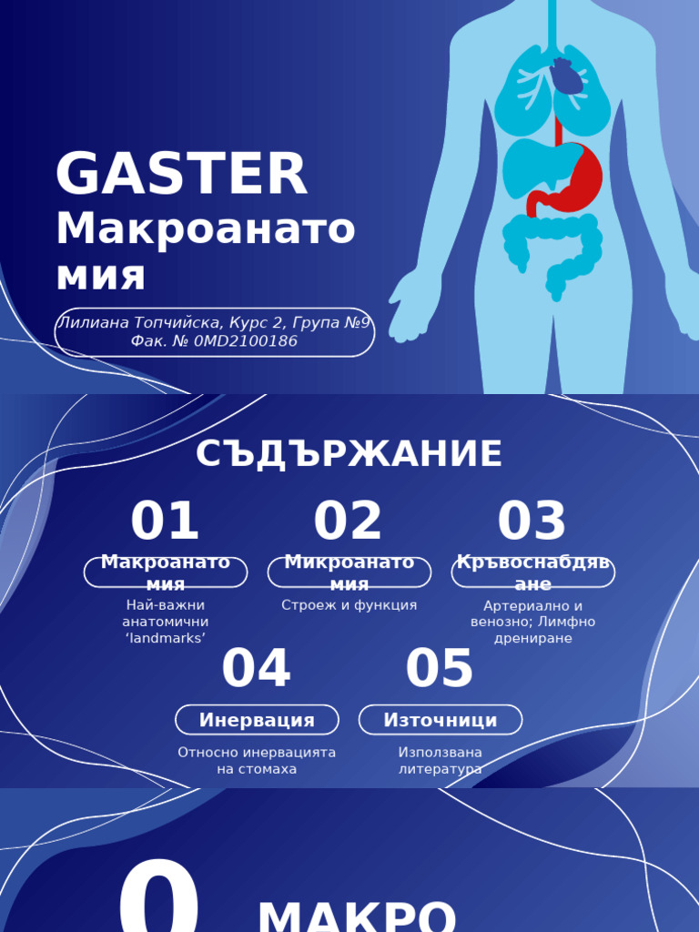 Gaster - презентация | PDF