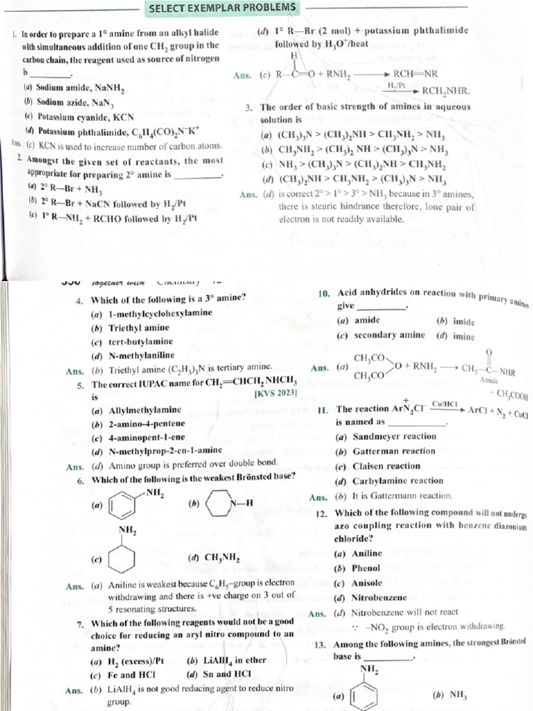 Amines Select Exemplar Questions | PDF