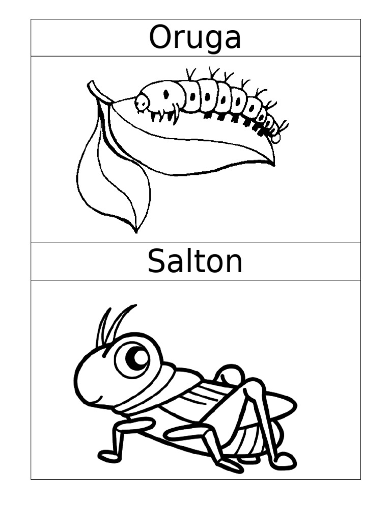 Plagas Bíblicas: Salton y Revolton | PDF | Tecnología