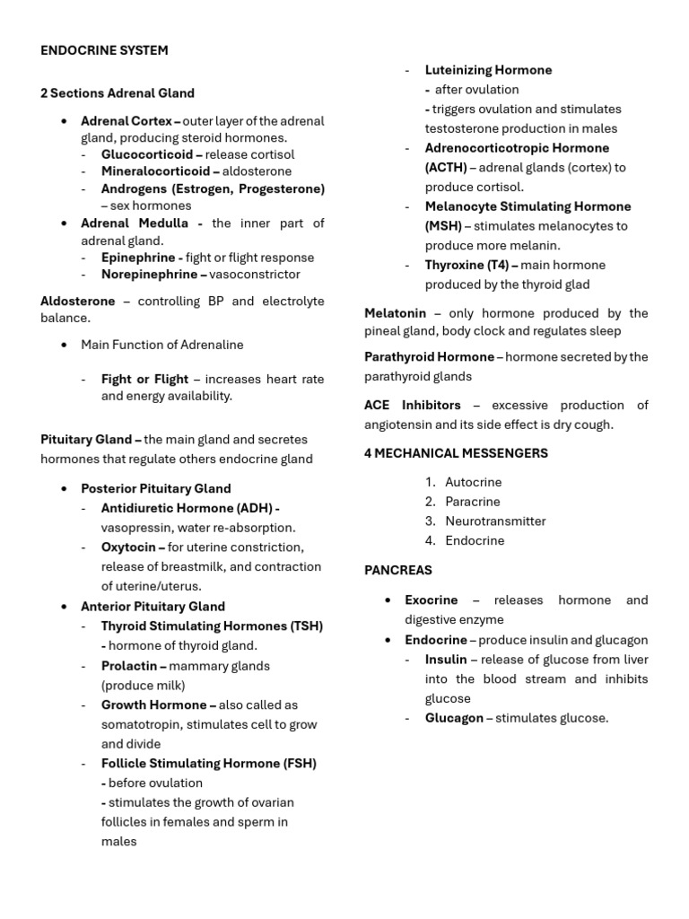 Endocrine System Overview | PDF | Endocrine System | Adrenal Gland