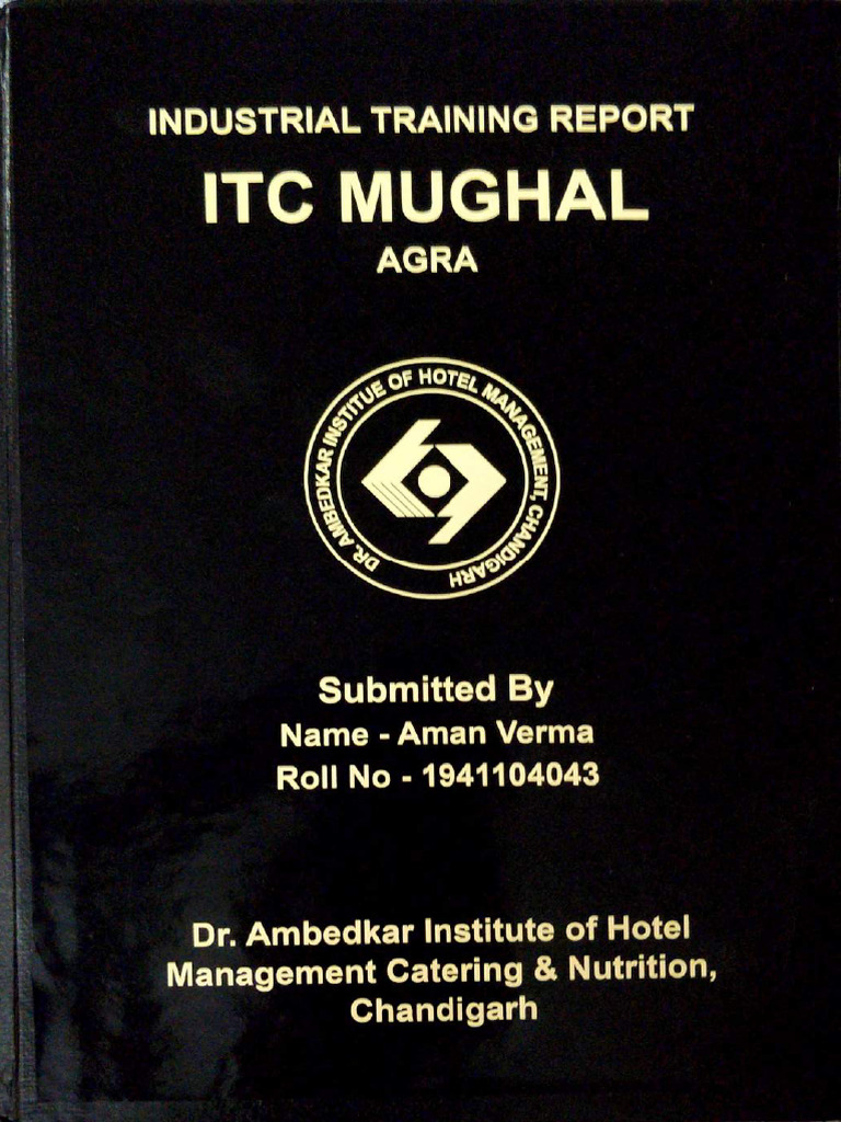 It Report For Itc Mughal | PDF