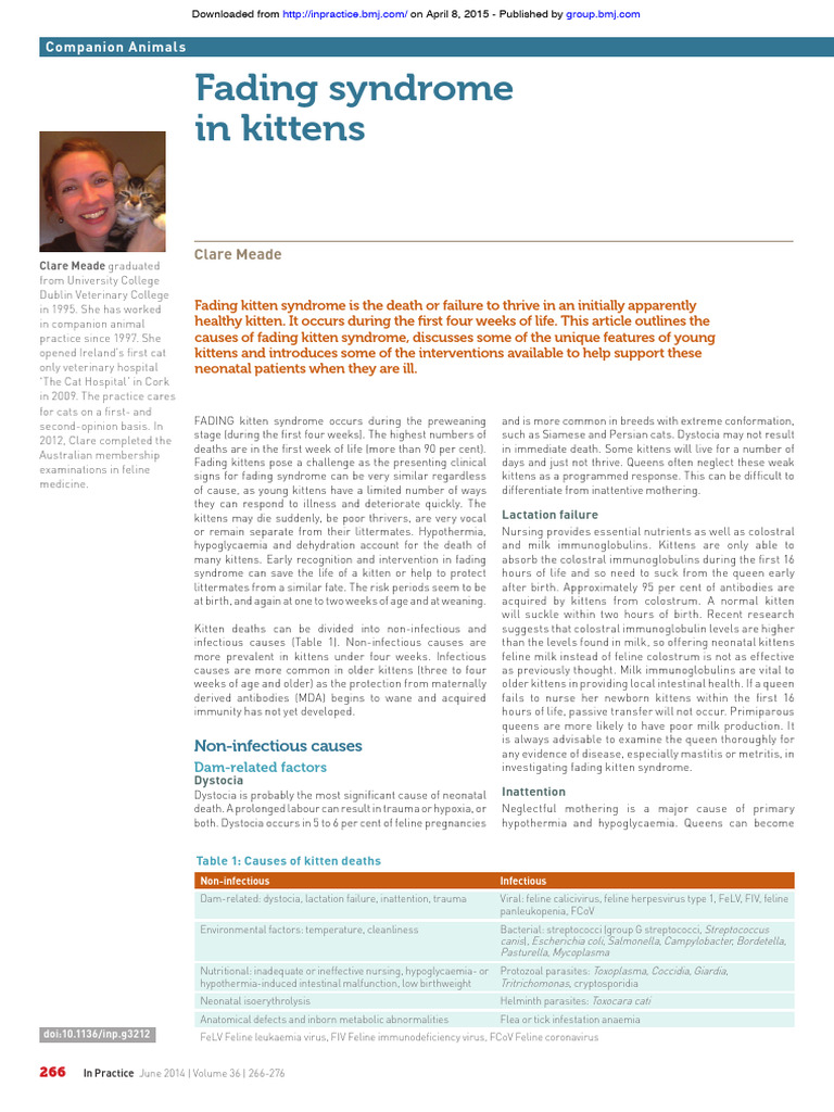 Fading Syndrome in Kittens 2 | PDF | Infection | Influenza