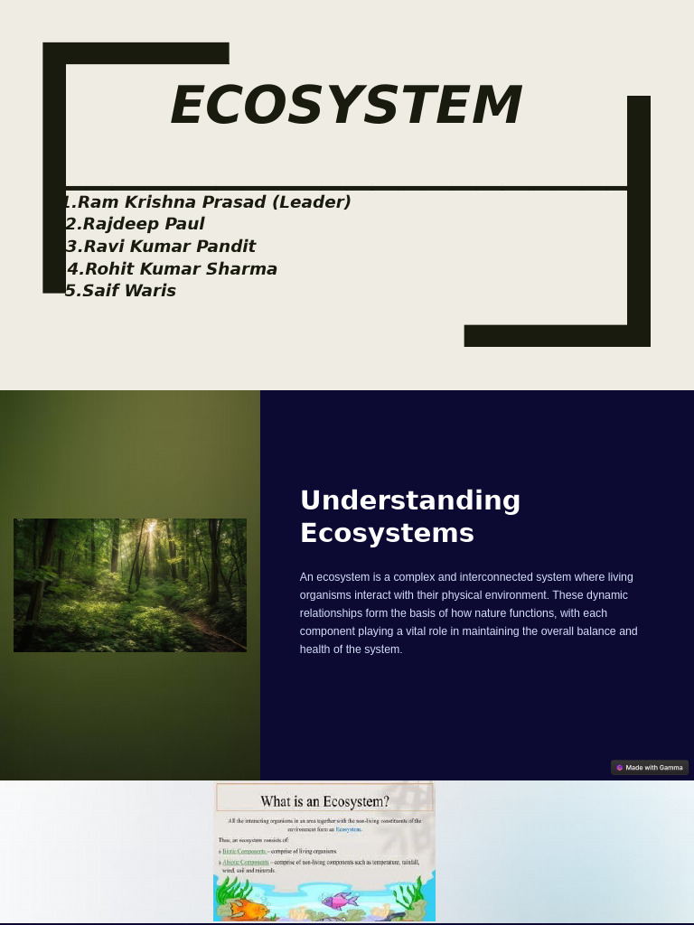 Ecosystem | PDF | Ecosystem | Food Web