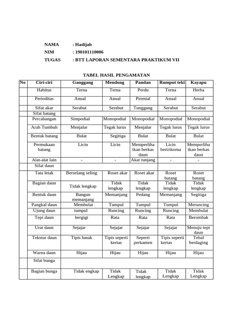 Hadijah 190101110006 Lap Sementara BTT 7 | PDF