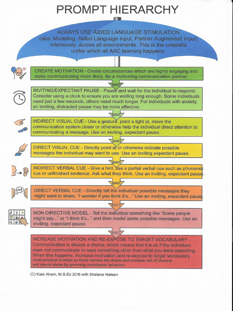 Prompt Hierarchy Umbrella | PDF