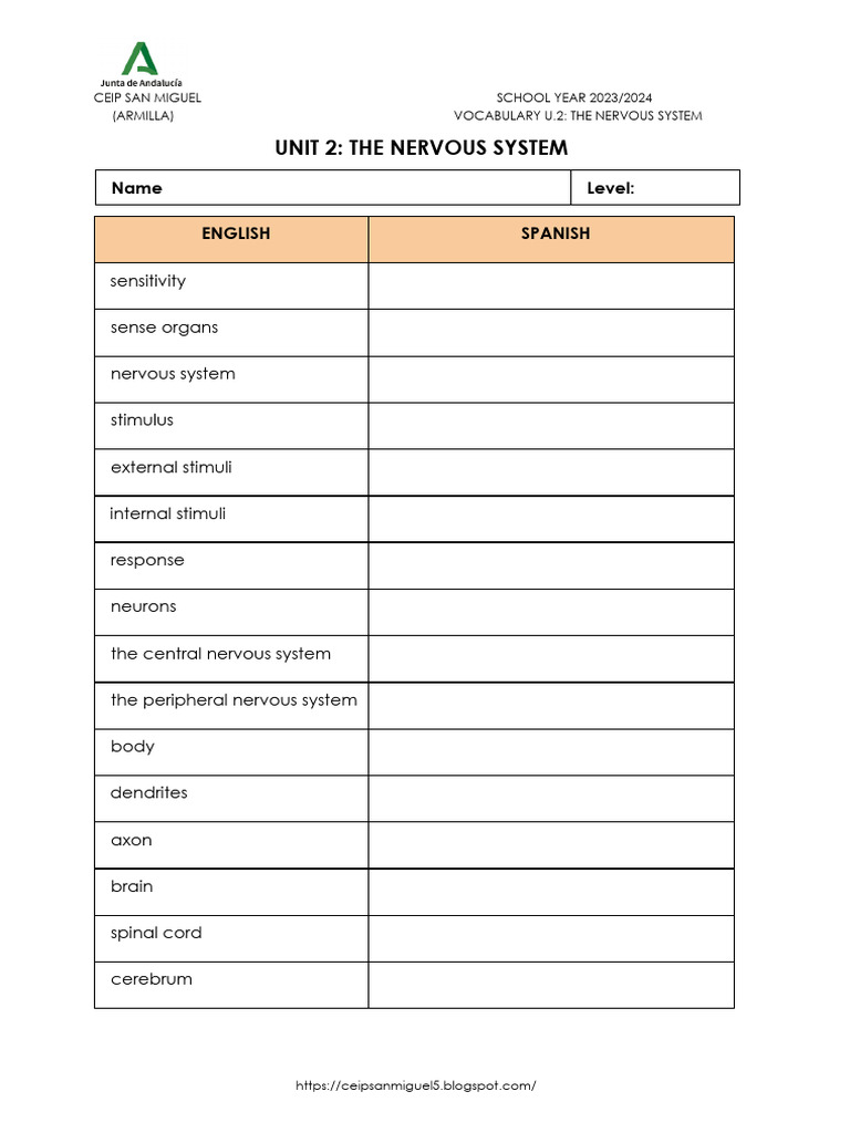 Vocabulary for Nervous System Unit | PDF
