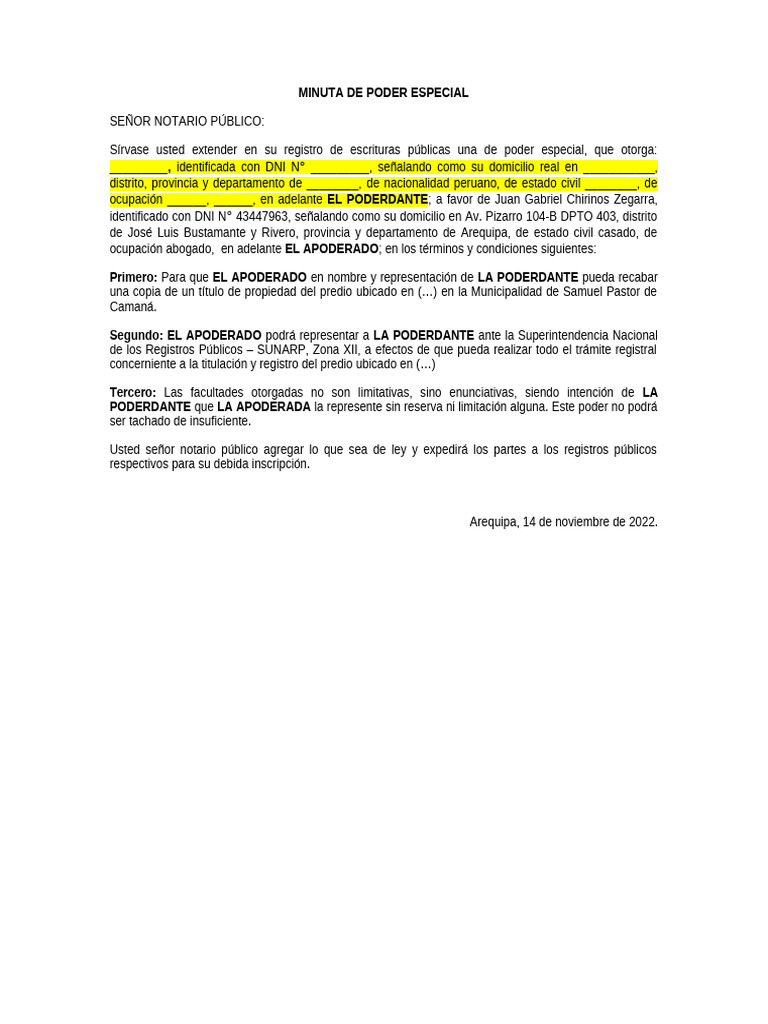 MINUTA PODER ESPECIAL | PDF